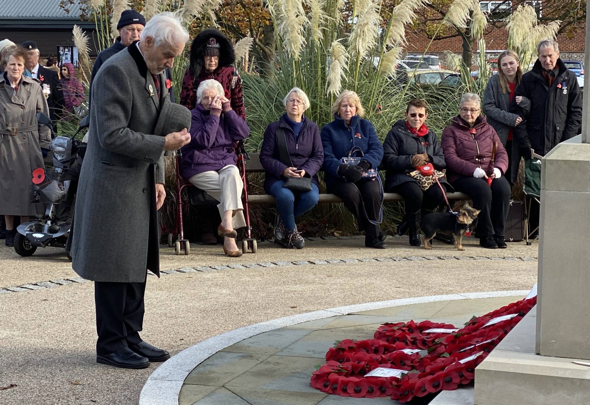 Woodley plans remembrance gathering at war memorial – chance to book a ...