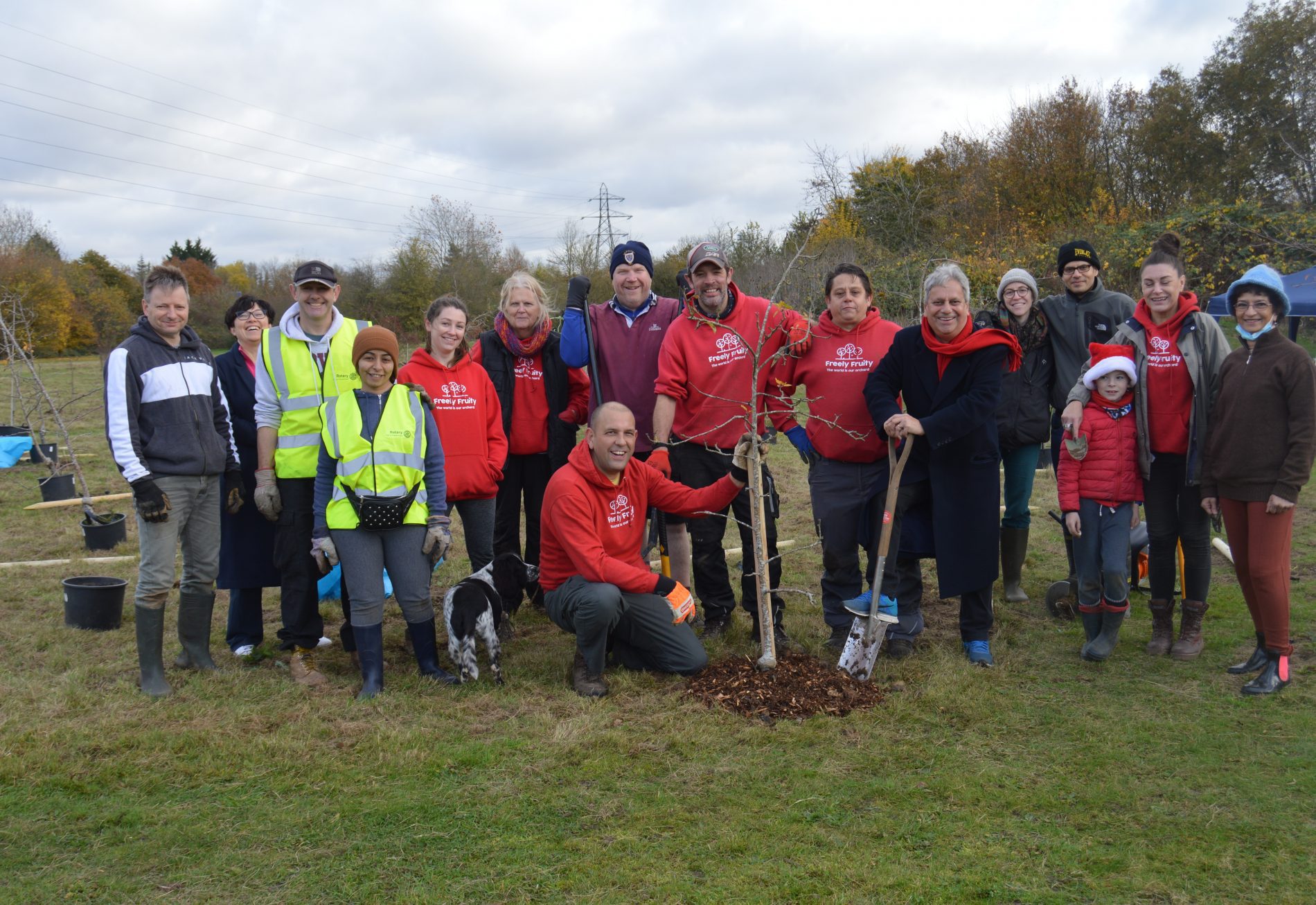 New community orchard at Winnersh Meadows will see residents able to ...