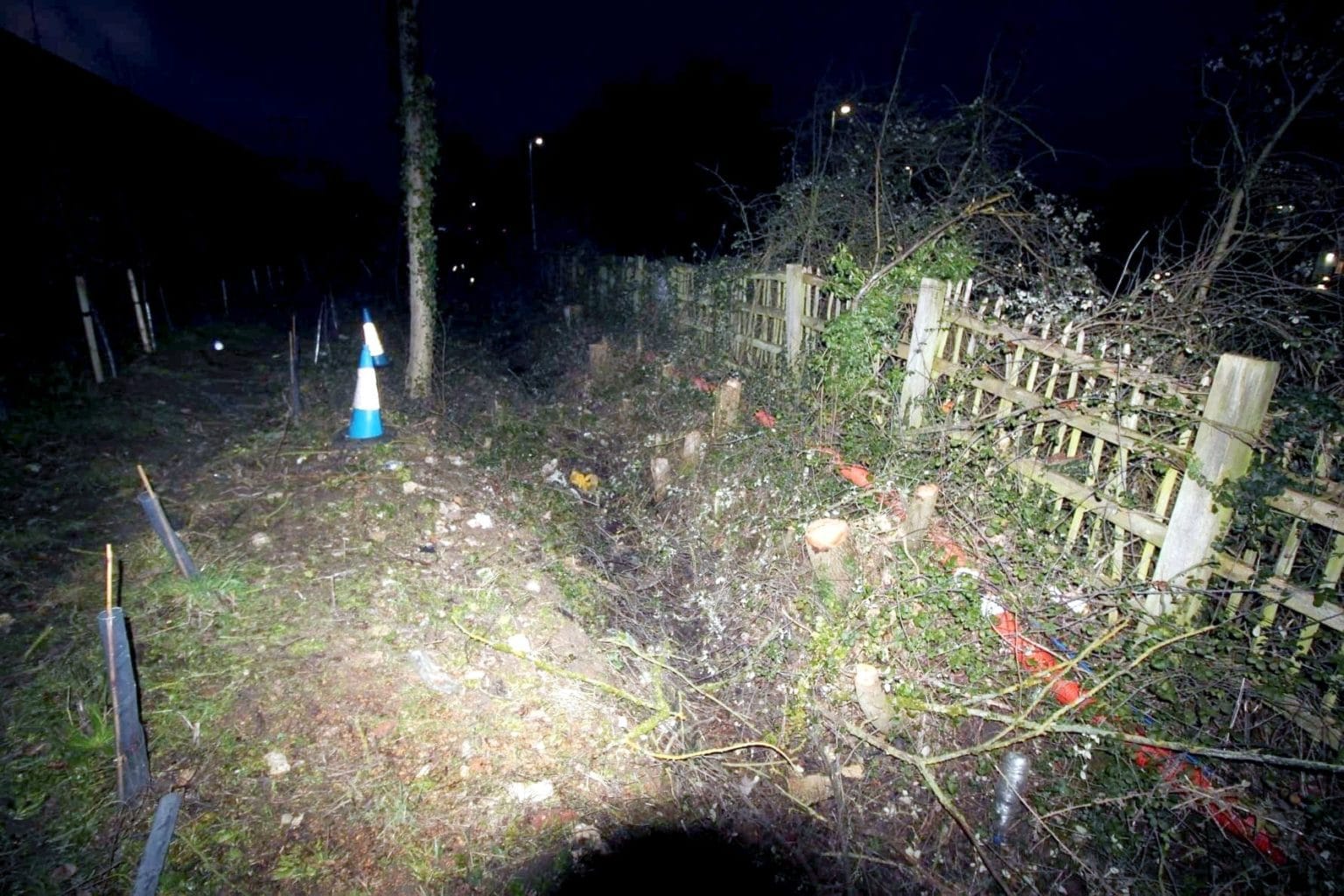 Picture Paul Fishwick – Wokingham.Today