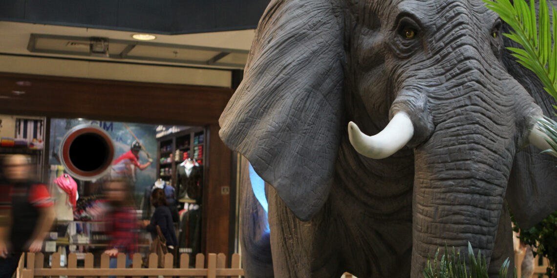 Grays Farm welcomes customers back so they can pick their own ...